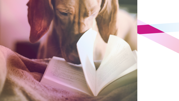 7 Expert Tips for Better RTL (Right-To-Left) Web Design